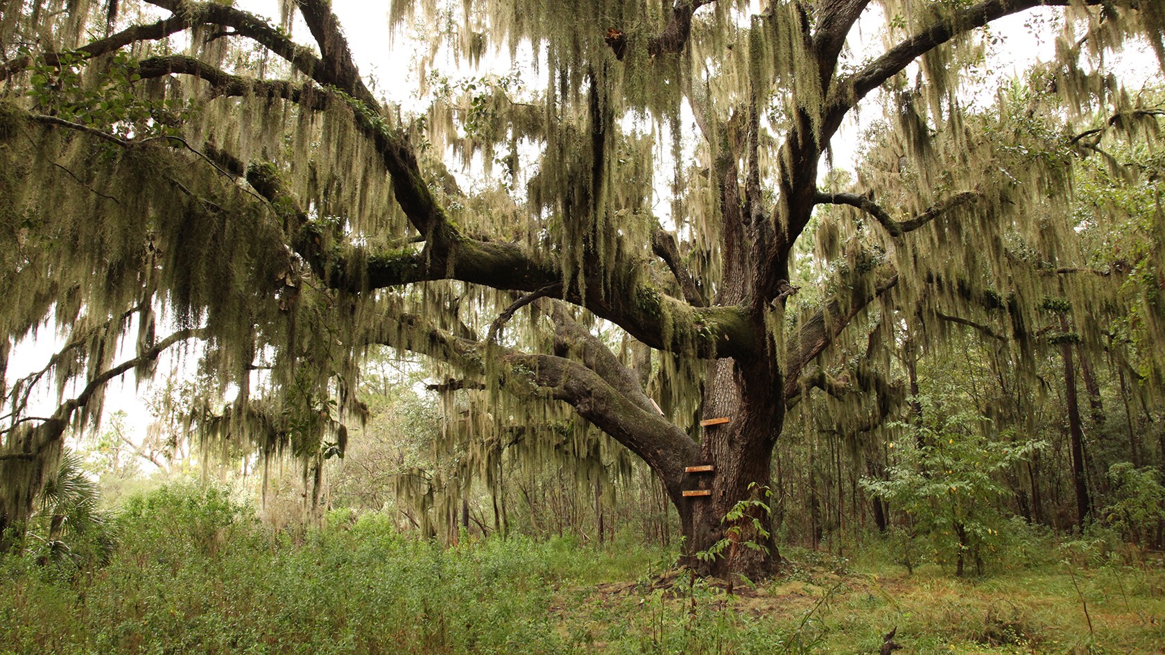 Locations Hub - Old Roberds Dairy