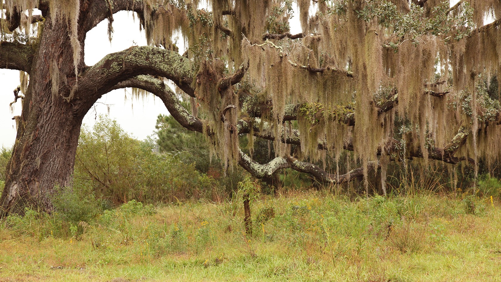 Locations Hub - Old Roberds Dairy