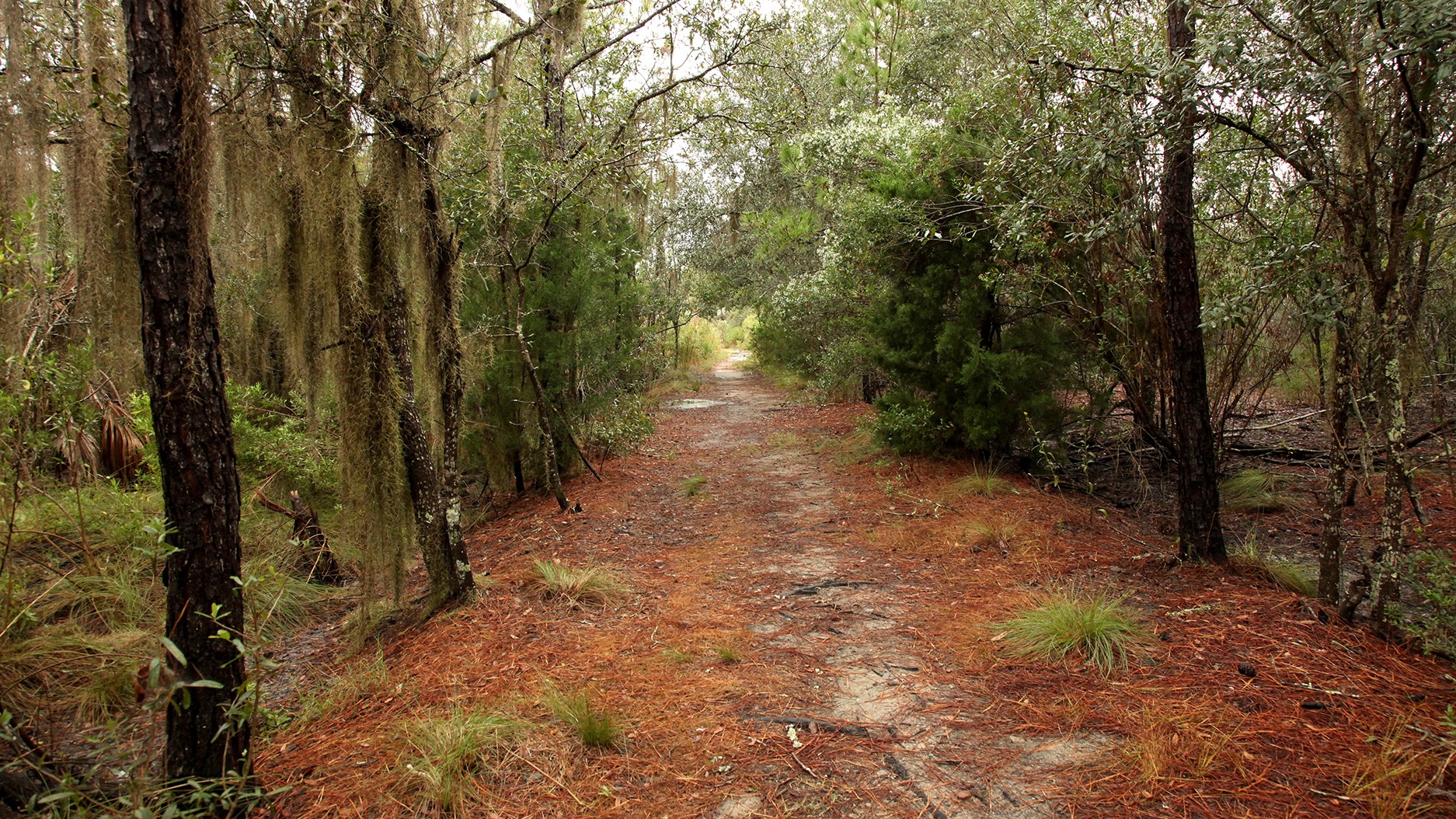 Locations Hub - Old Roberds Dairy
