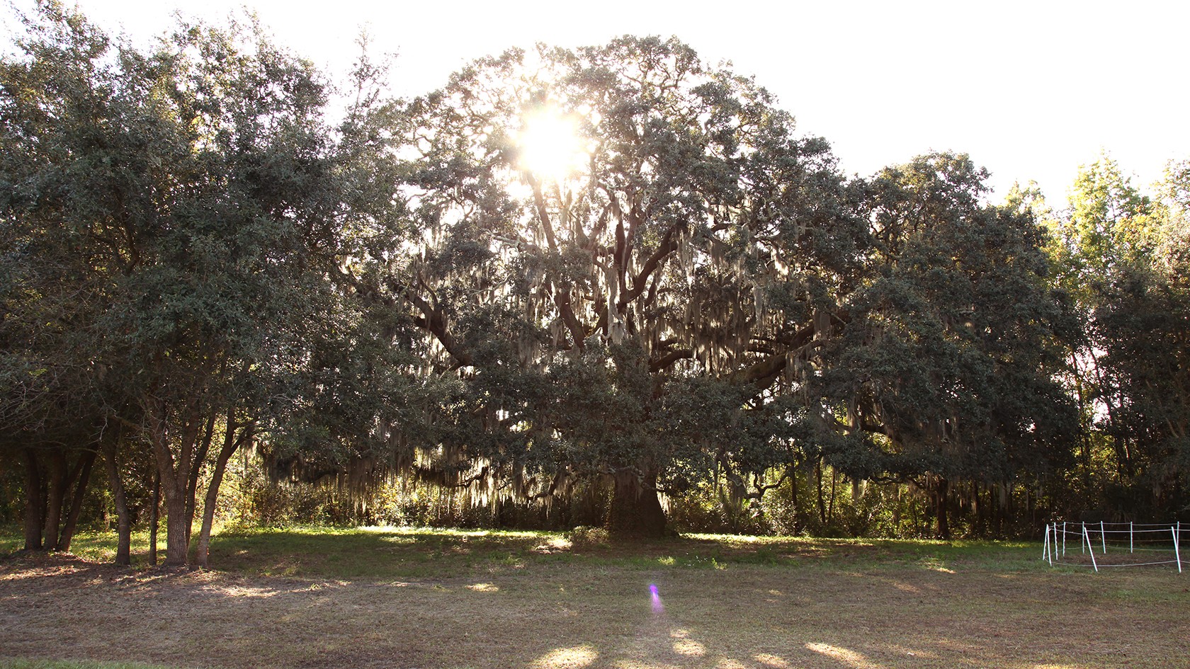 Locations Hub - Old Roberds Dairy