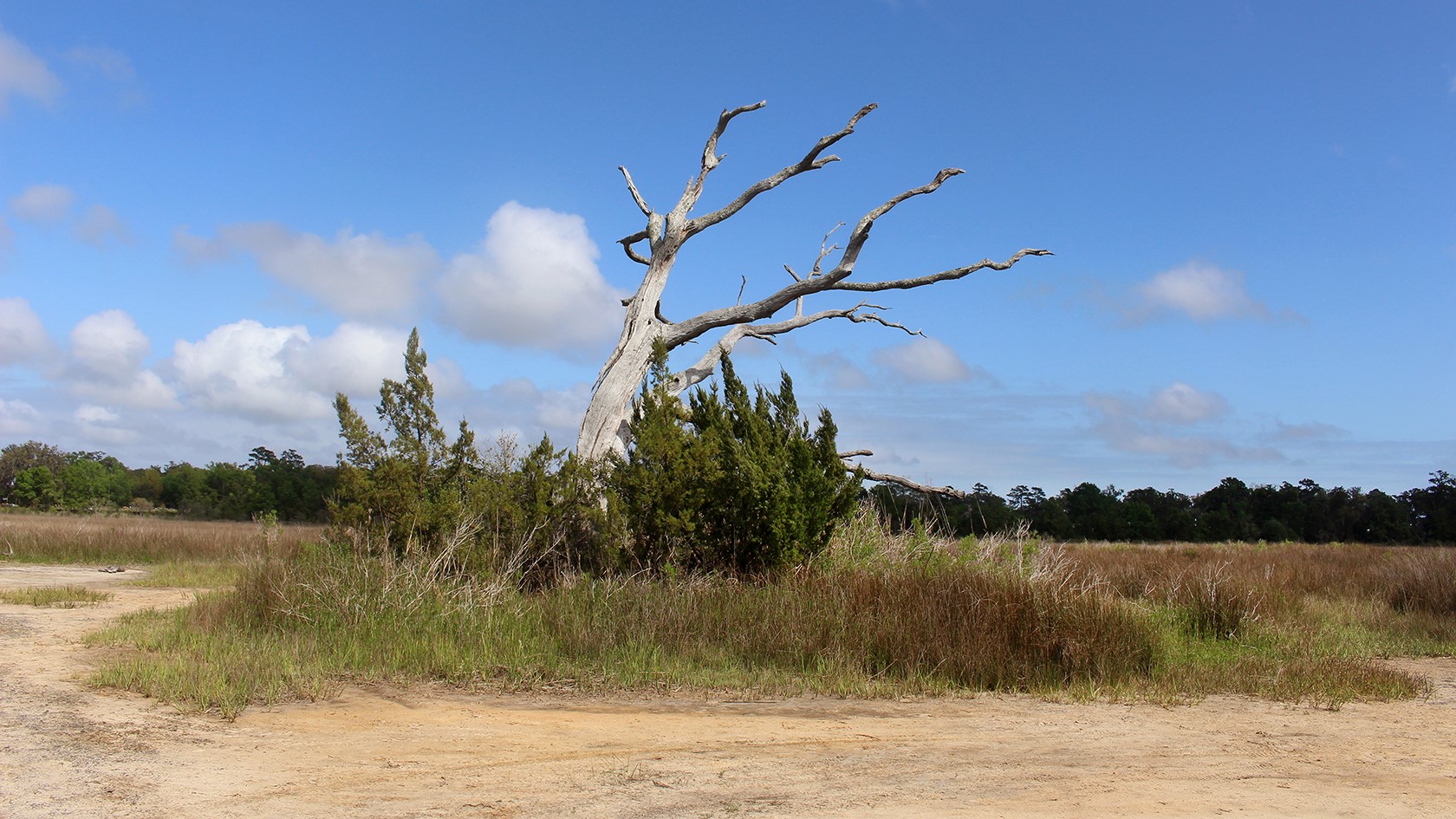 Locations Hub - Old Roberds Dairy