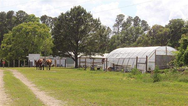 Locations Hub - Old Roberds Dairy